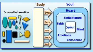 Body, Heart, Soul and Spirit