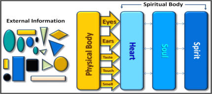 Body, Heart, Soul and Spirit