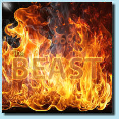 Unique Bible Studies